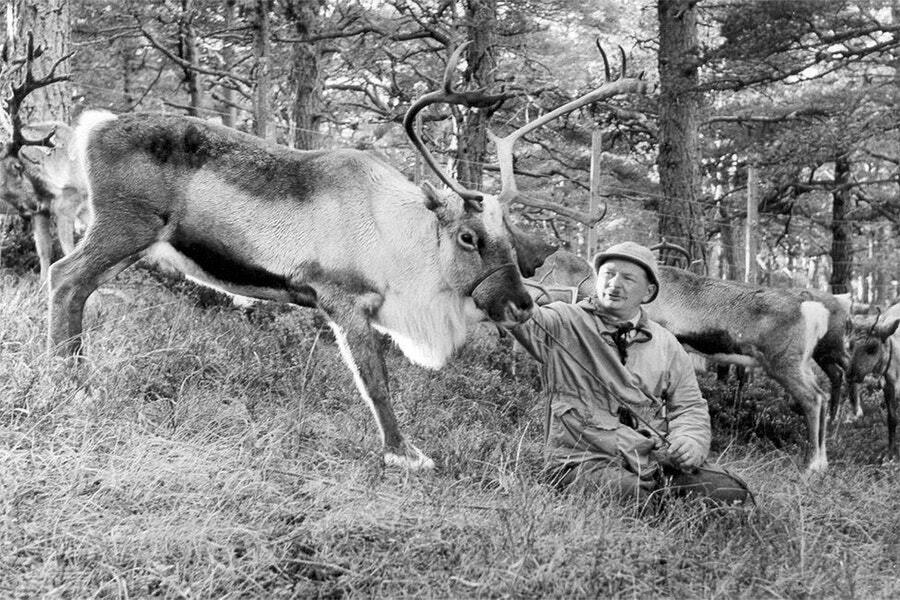 Scottish Christmas Traditions | ScotlandShop