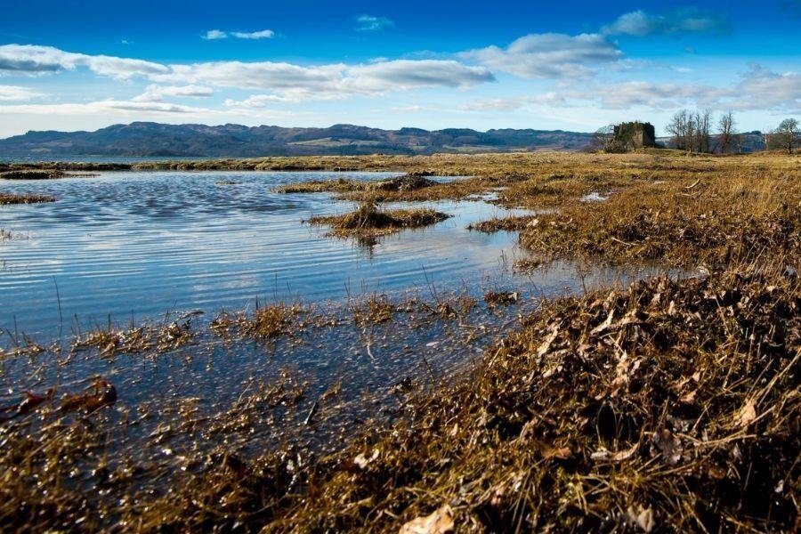 An Interview with the Lachlan Trust | ScotlandShop