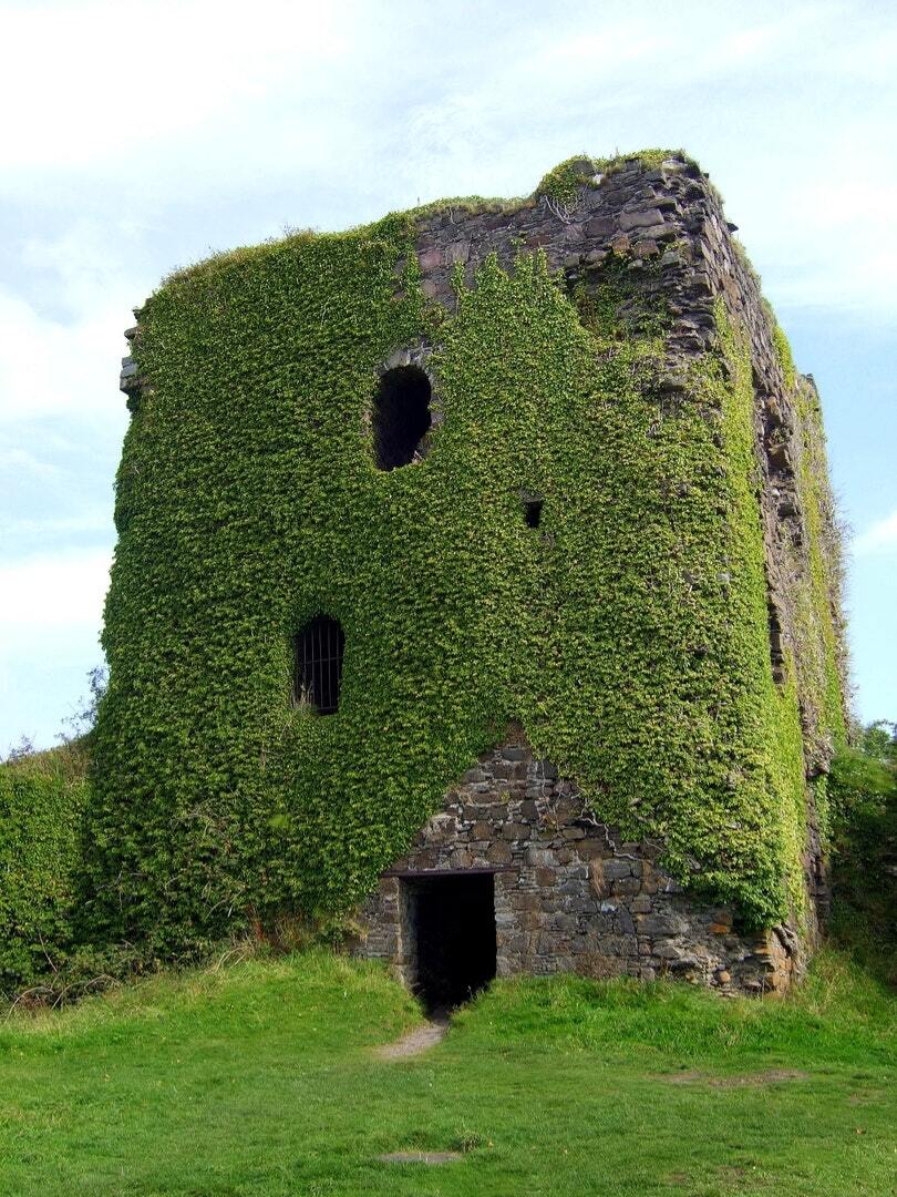 Clan MacDougall - Unleash your inner tartan | ScotlandShop