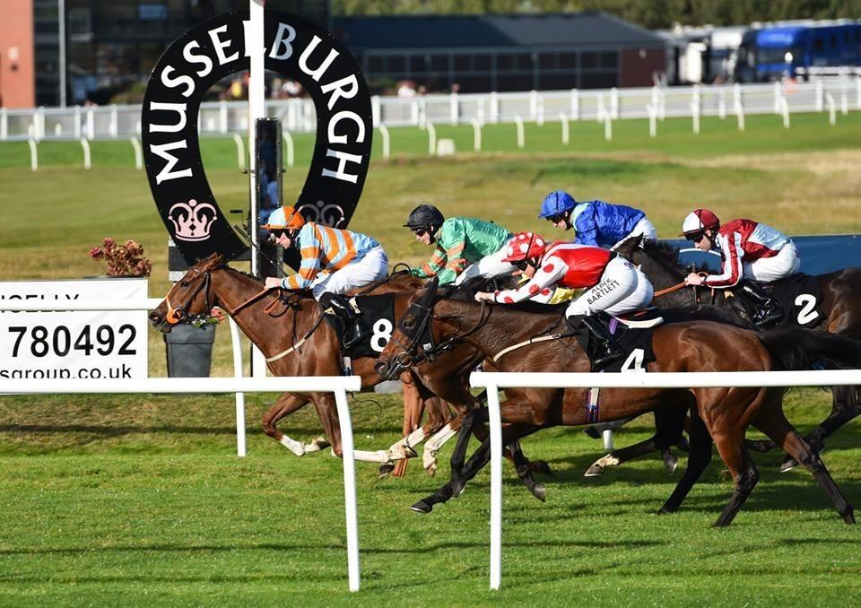 A Day at the Races - Musselburgh District Tartan | ScotlandShop