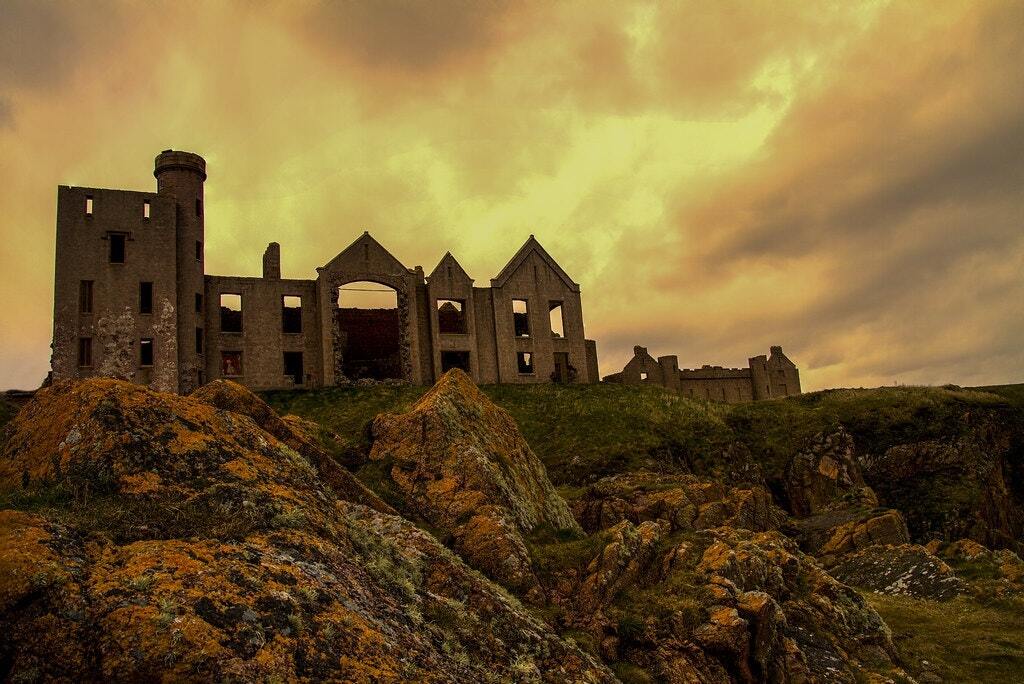 Clan of the Month - Hardy Hays | ScotlandShop