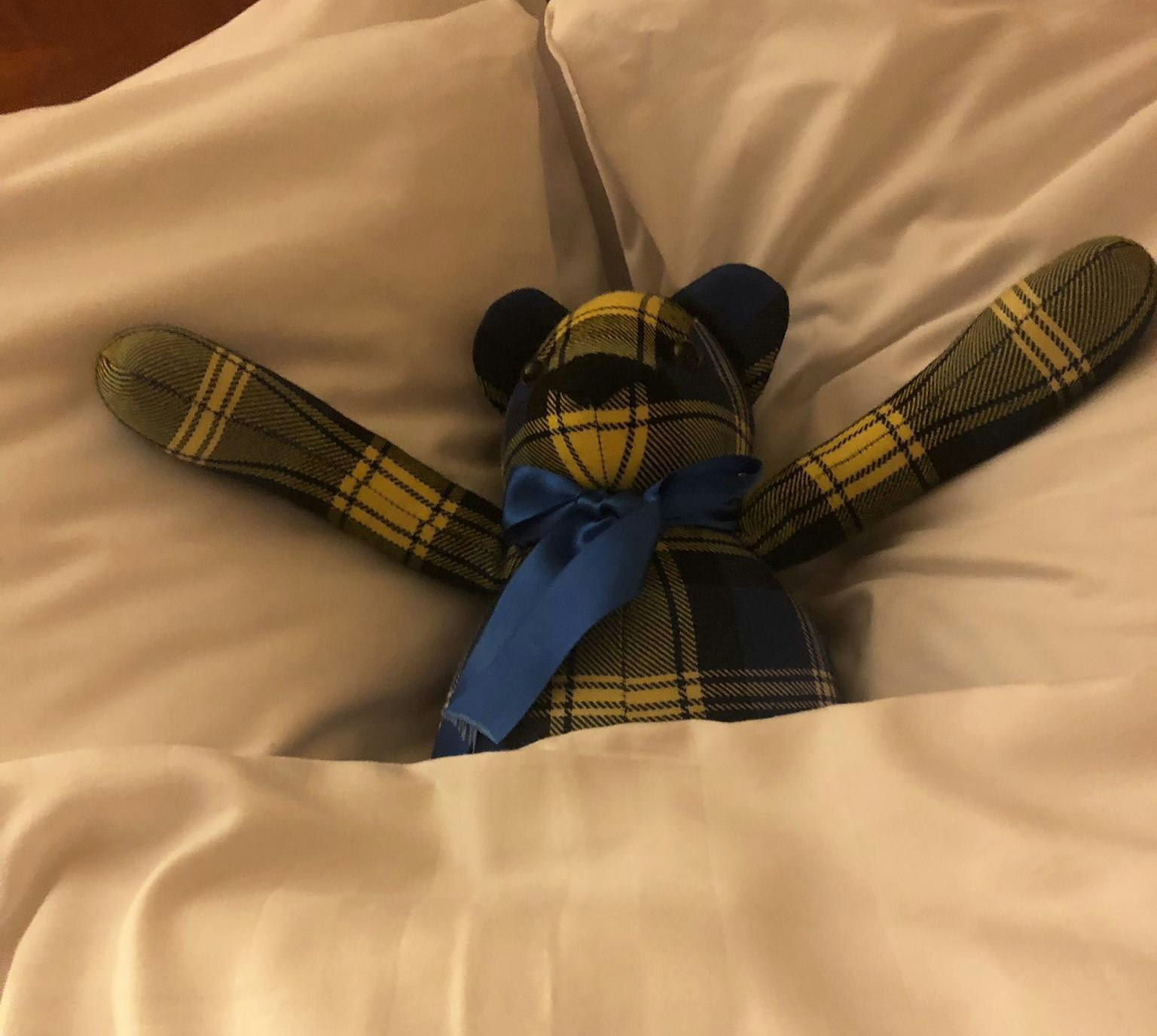 Doddie'5 Tartan Ted - Ted made it to the Principality… | ScotlandShop