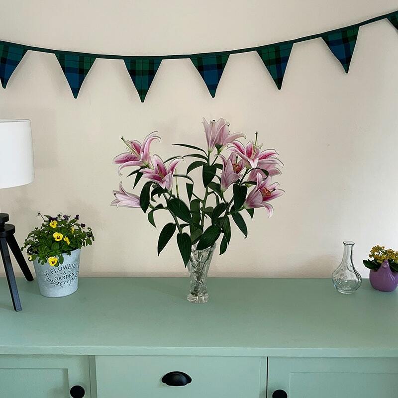 Tartan Bunting | Up to 500 Tartans | ScotlandShop